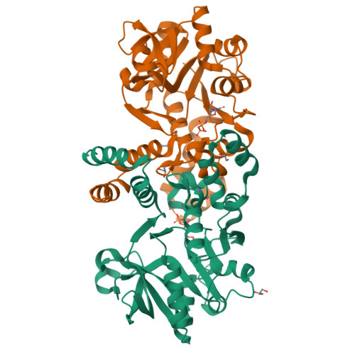 RCSB PDB - 8B6D: Crystal structure of UDP-glucose pyrophosphorylase ...