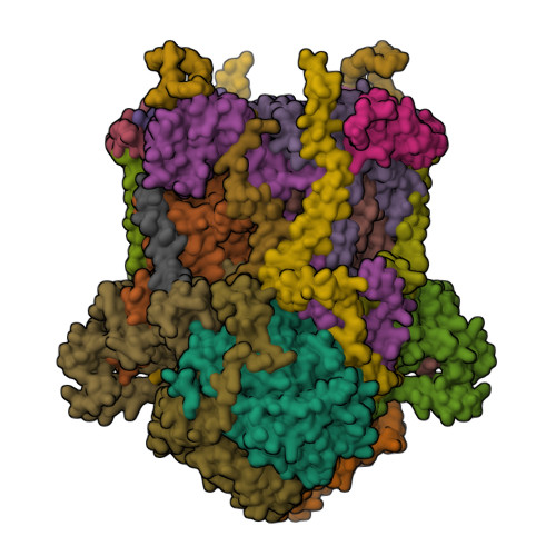 RCSB PDB - 8B6J: Cryo-EM structure of cytochrome bc1 complex (complex ...