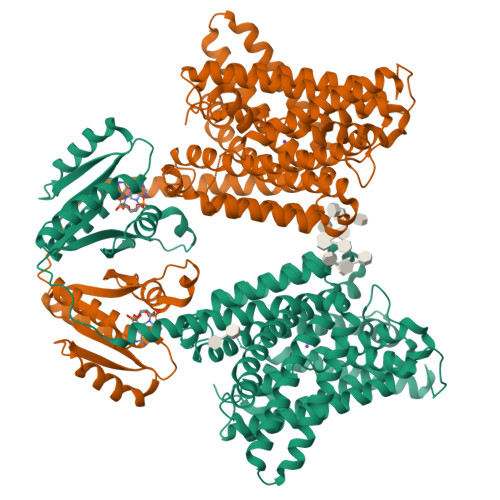 RCSB PDB - 8B70: KimA from B. subtilis with nucleotide second-messenger ...