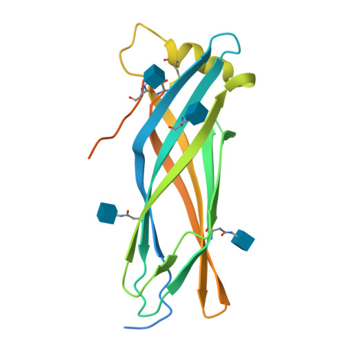 RCSB PDB - 8B7D: Luminal domain of TMEM106B