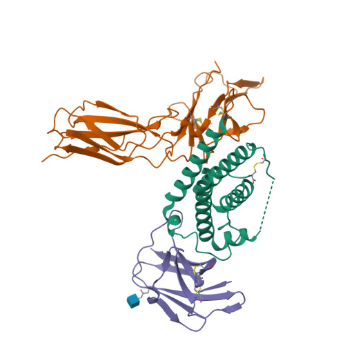 RCSB PDB - 8B7Q: Cryo-EM structure for the mouse LEPR-CRH2:Leptin:LEPR ...