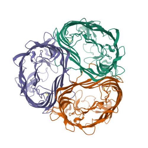 RCSB PDB - 8B7V: Automated simulation-based refinement of maltoporin ...