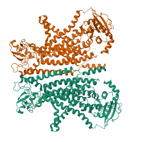 RCSB PDB - 8B8J: Cryo-EM structure of Ca2+-bound mTMEM16F F518H mutant ...