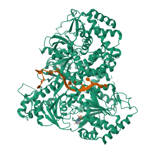 RCSB PDB - 8B9G: Cryo-EM structure of MLE in complex with ADP:AlF4 and ...