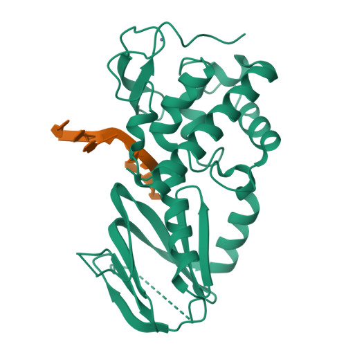 RCSB PDB - 8B9N: Crystal structure of NEI domain of mouse NEIL3 trapped ...