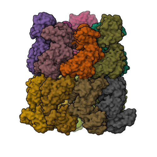 RCSB PDB - 8BA8: CryoEM structure of GroEL-ADP.BeF3-Rubisco.