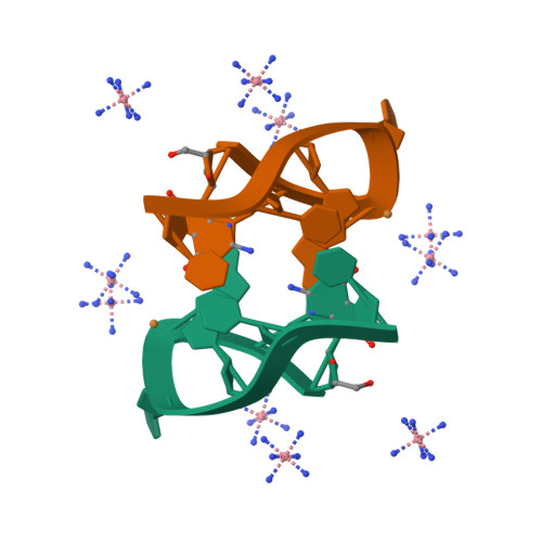 RCSB PDB - 8BAG: Copper(II) bound to a non-canonical quadruplex ...