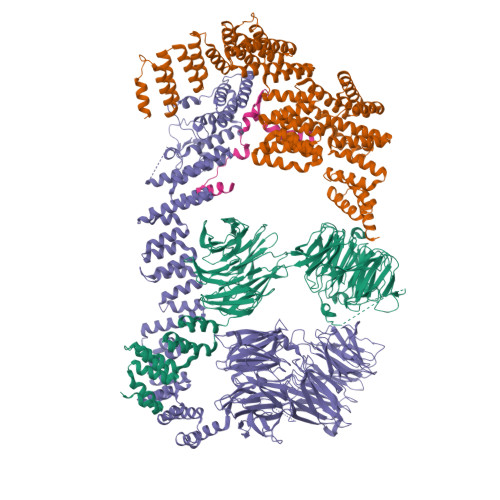 RCSB PDB - 8BBE: Structure of the IFT-A complex; IFT-A2 module