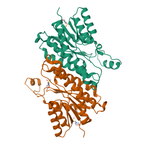 RCSB PDB - 8BCI: Crystal structure of short-chain dehydrogenase PA3128 ...