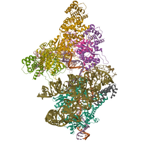 RCSB PDB - 8BD5: Cas12k-sgRNA-dsDNA-S15-TniQ-TnsC transposon recruitment complex