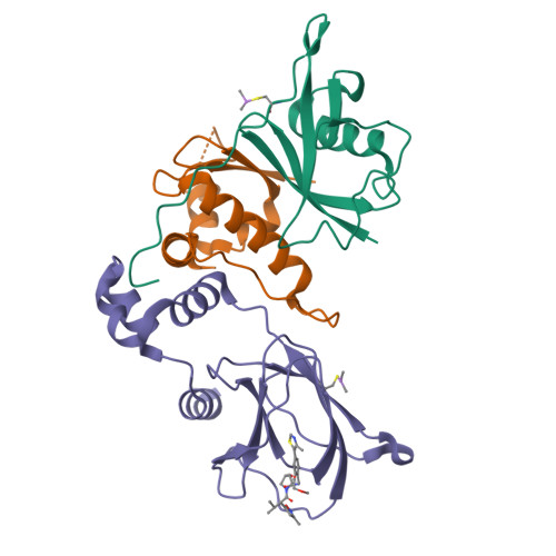 RCSB PDB - 8BDM: VCB in complex with compound 26