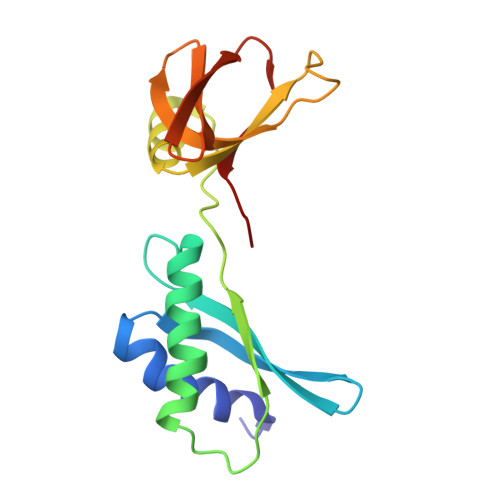 RCSB PDB - 8BDV: Ribosome maturation factor P (RimP) from ...