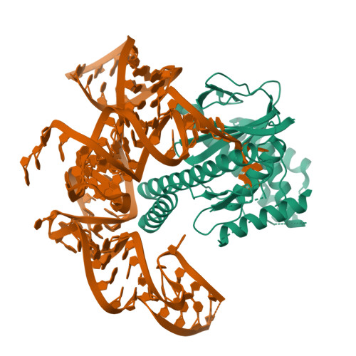 RCSB PDB - 8BF8: ISDra2 TnpB in complex with reRNA