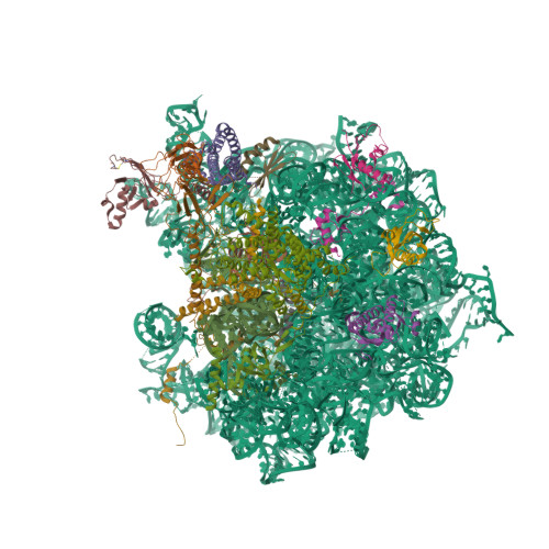 RCSB PDB - 8BF9: Molecular view of ER membrane remodeling by the Sec61 ...