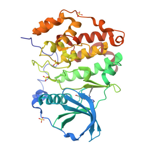 RCSB PDB - 8BGC: Crystal structure of human Casein Kinase II subunit ...