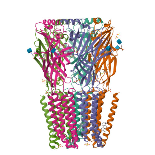 RCSB PDB - 8BGI: GABA-A receptor a5 homomer - a5V1 - Flumazenil
