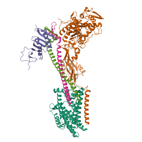 RCSB PDB - 8BH1: Core divisome complex FtsWIQBL from Pseudomonas aeruginosa