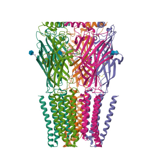 RCSB PDB - 8BHI: GABA-A receptor a5 homomer - a5V3 - RO5211223