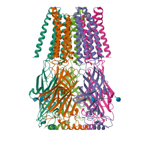 RCSB PDB - 8BHM: GABA-A receptor a5 homomer - a5V3 - DMCM