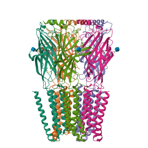 RCSB PDB - 8BHO: GABA-A receptor a5 homomer - a5V3 - L655708