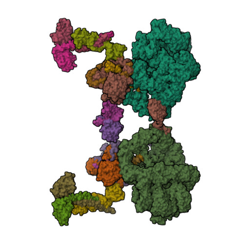 RCSB PDB - 8BHY: DNA-PK Ku80 mediated dimer bound to PAXX and XLF