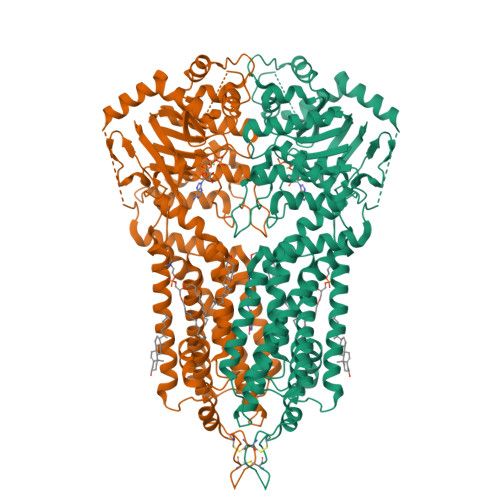 RCSB PDB - 8BI0: ABCG2 turnover-2 state with tariquidar bound