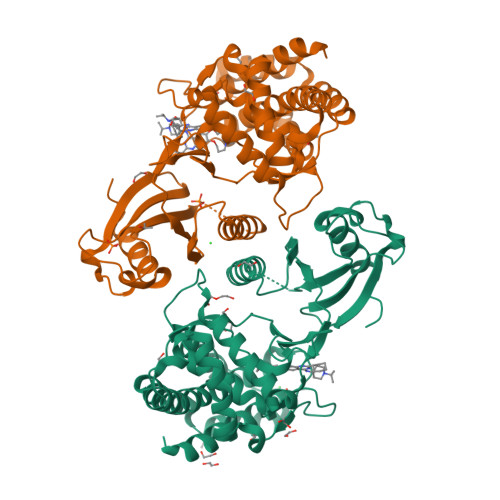 RCSB PDB - 8BI6: Crystal structure of human Choline Kinase A in complex ...