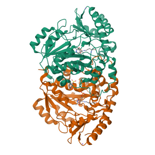 RCSB PDB - 8BJ2: Crystal structure of Medicago truncatula histidinol ...