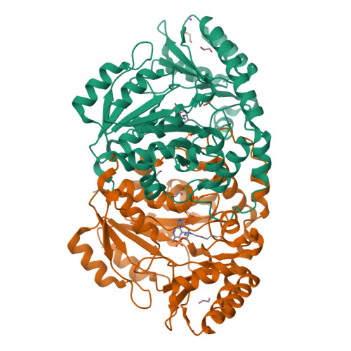 RCSB PDB - 8BJ3: Crystal structure of Medicago truncatula histidinol ...