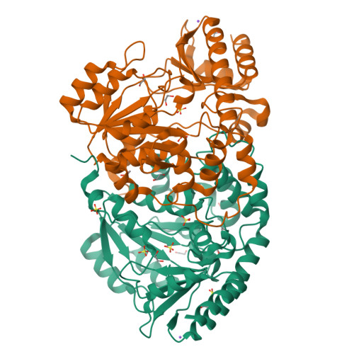 RCSB PDB - 8BJ4: Crystal structure of Medicago truncatula histidinol ...