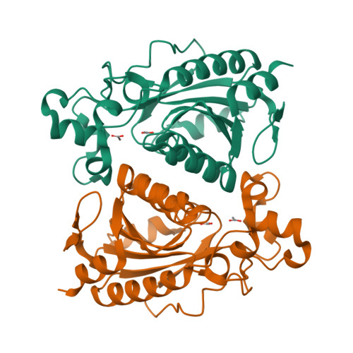 RCSB PDB - 8BLL: Structure of RutB