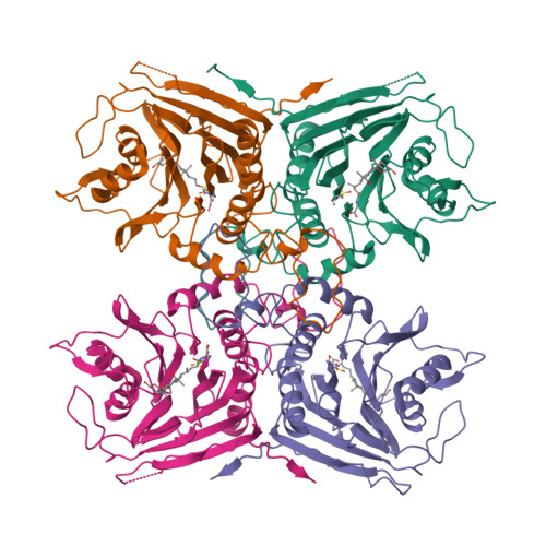 RCSB PDB - 8BLS: Structure of Lactobacillus salivarius (Ls) bile salt ...