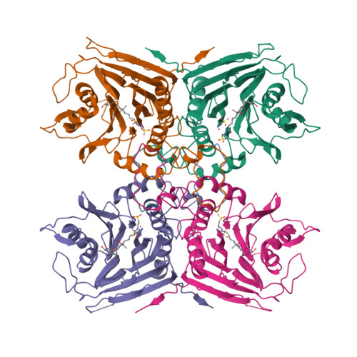RCSB PDB - 8BLT: Structure of Lactobacillus salivarius (Ls) bile salt ...