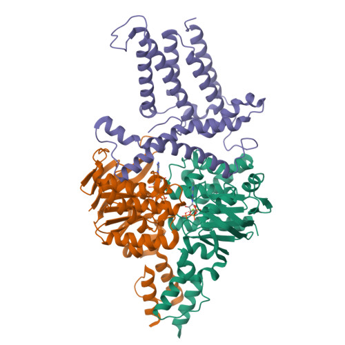RCSB PDB - 8BMS: Cryo-EM structure of the mutant solitary ECF module ...