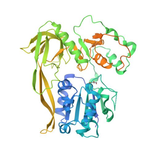 RCSB PDB - 8BNV: Crystal structure of Pif1 from Deferribacter ...