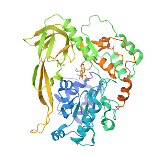 RCSB PDB - 8BNX: Crystal structure of Pif1 from Deferribacter ...