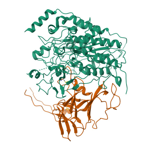 RCSB PDB - 8BOZ: structure of the Adherent-Invasive Escherichia coli ...