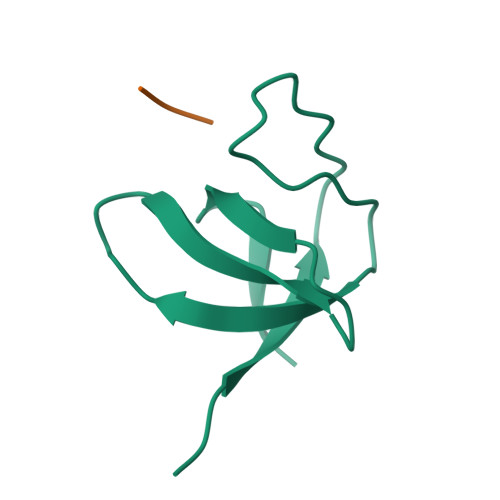 RCSB PDB - 8BQ3: Crystal structure of human R13 mutant of the c-Src SH3 ...
