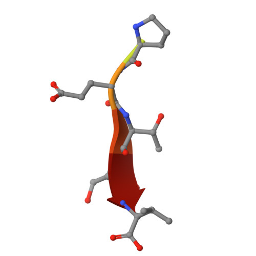 RCSB PDB - 8BQ8: Crystal structure of Trichoplax Dlg PDZ2 domain in ...