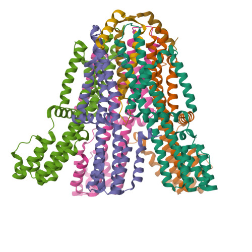 RCSB PDB - 8BRD: Mechanisms of ion selectivity and rotor coupling in ...