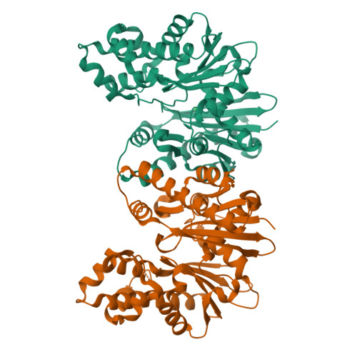 RCSB PDB - 8BRE: 1,6-anhydro-n-actetylmuramic acid kinase (AnmK)