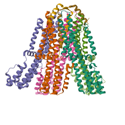 RCSB PDB - 8BRI: VaPomAB MSP1D1 nanodisc