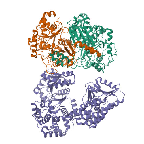 RCSB PDB - 8BRJ: Escherichia coli anaerobic fatty acid beta oxidation ...