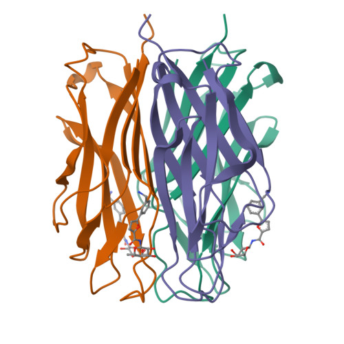RCSB PDB - 8BRO: Structure of the N-terminal domain of BC2L-C lectin (1 ...