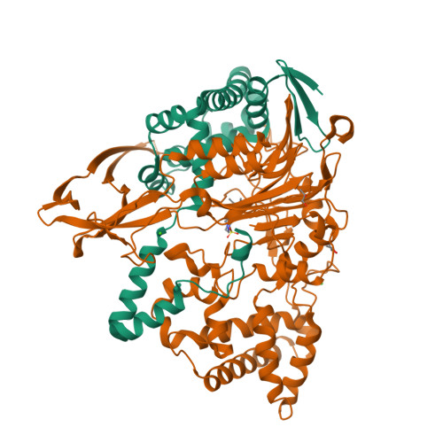 RCSB PDB - 8BRS: Crystal structure of a variant of penicillin G acylase ...