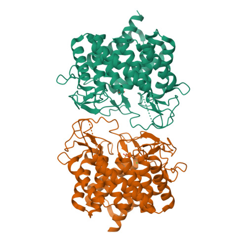 RCSB PDB - 8BRY: Room-temperature structure of Pedobacter heparinus N ...