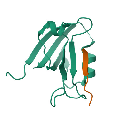 RCSB PDB - 8BUW: Crystal structure of Trichoplax Scribble PDZ1 domain ...