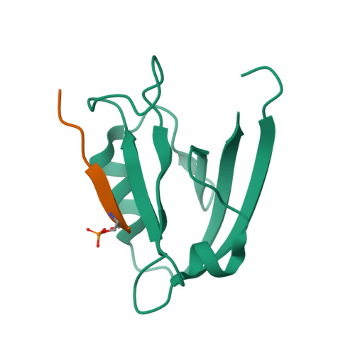 RCSB PDB - 8BV7: Crystal structure of the Trichoplax Scribble PDZ1 ...