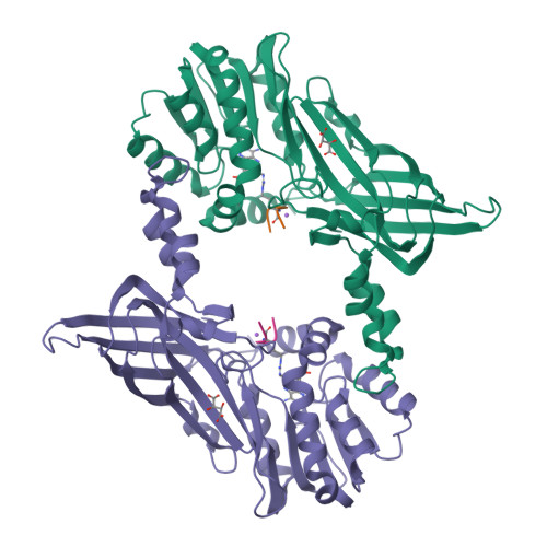 RCSB PDB - 8BVA: Crystal Structure of Mus musculus Protein Arginine ...