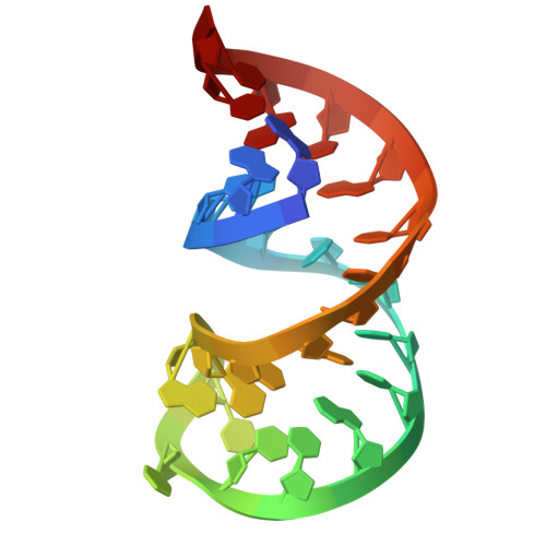 RCSB PDB - 8BWT: Structure of a symmetrical internal loop motif with ...